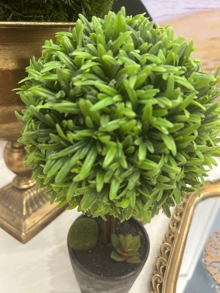 Small Topiary Tree – La Petite Maison Francaise